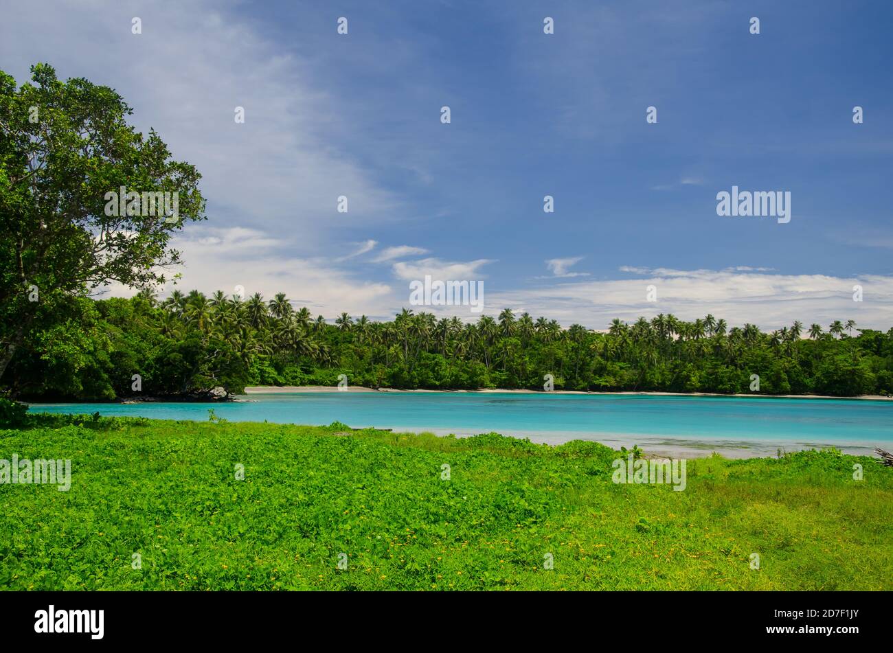 Landscape of the sea surrounded by greenery under a blue cloudy sky in ...