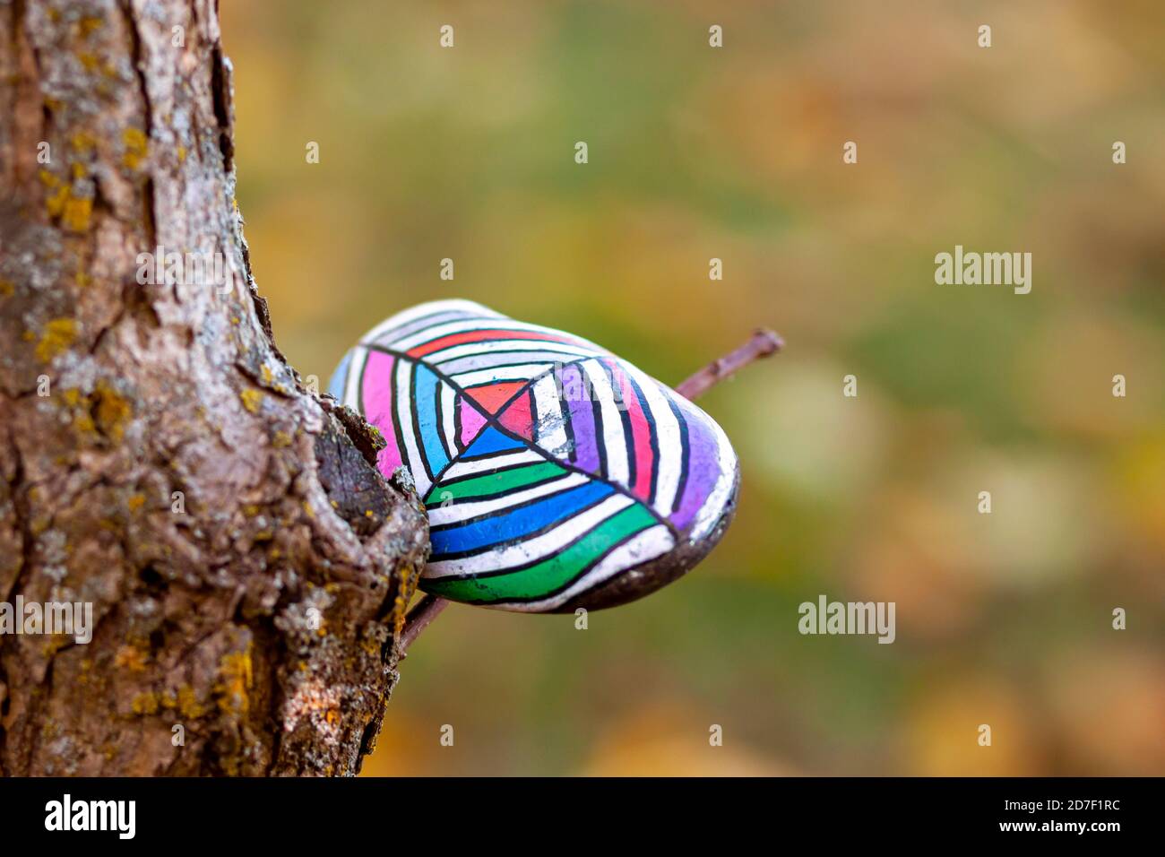 Leaving vibrant painted rocks a.k.a kindness rocks in parks and public ...