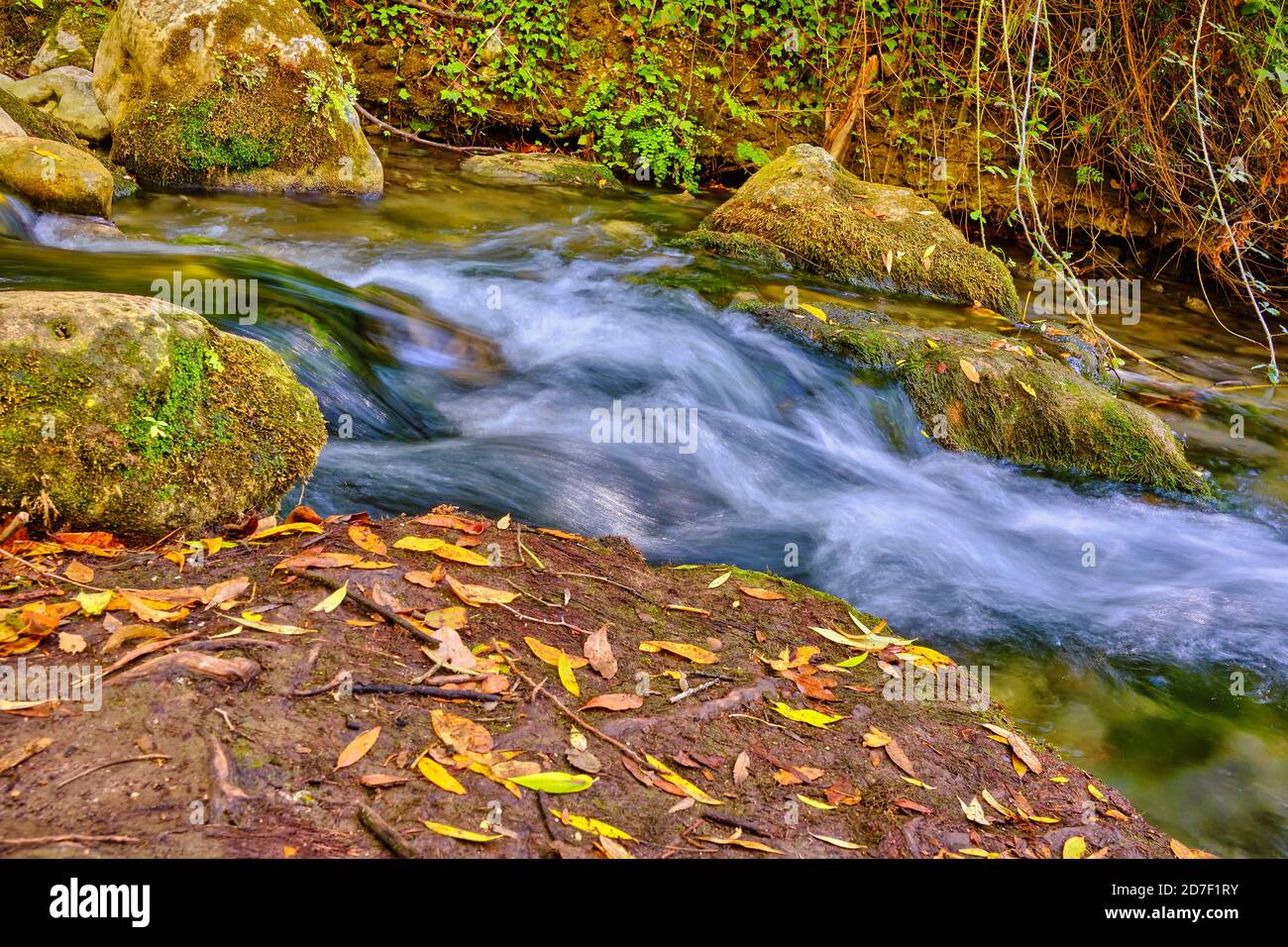 Bosque river hi-res stock photography and images - Alamy