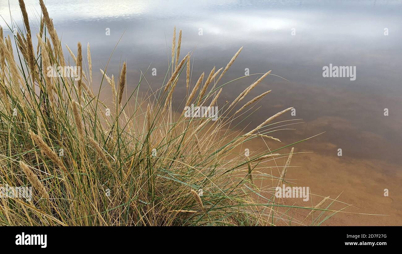 St Fergus gas plant Stock Photo - Alamy