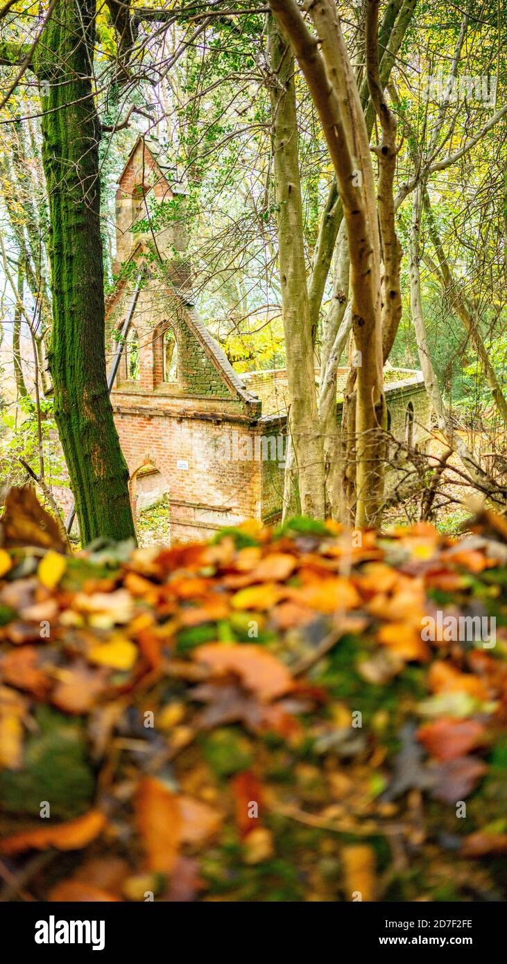 Bedham school hi-res stock photography and images - Alamy