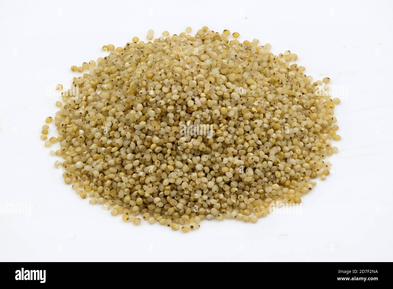 Close up barnyard millet hi-res stock photography and images - Alamy