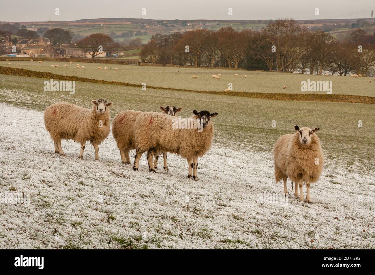 Our yorkshire farm hi-res stock photography and images - Alamy