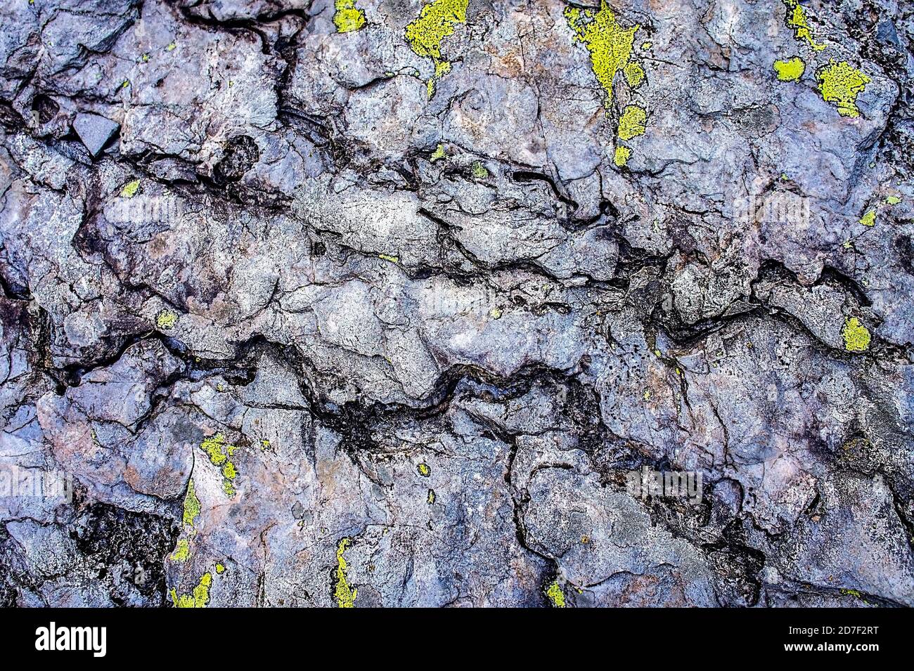 Texture rock stone lichens hi-res stock photography and images - Alamy