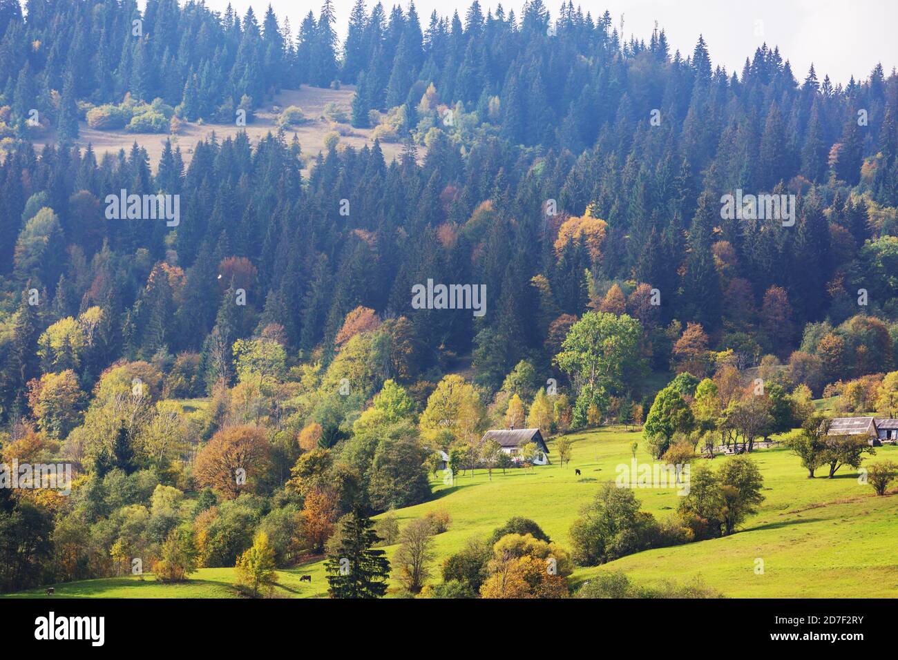 Beautiful natural landscapes hi-res stock photography and images - Alamy