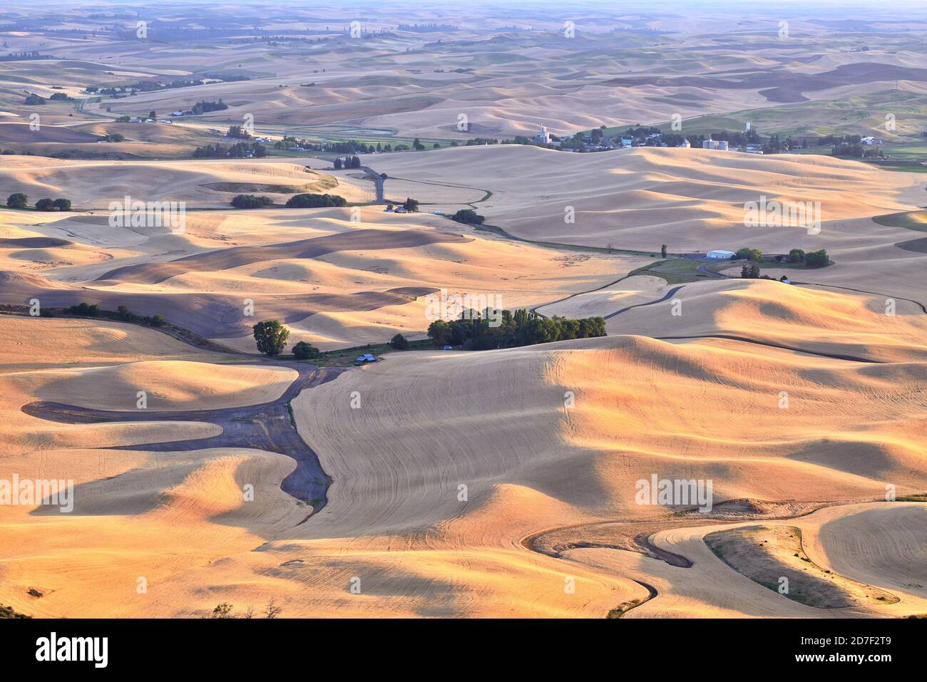 Palouse Wheat Fields in Autumn, Washington-USA Stock Photo - Alamy