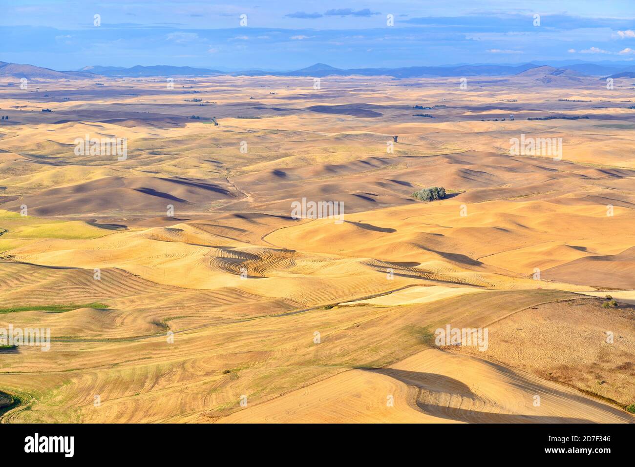 Palouse Wheat Fields in Autumn, Washington-USA Stock Photo - Alamy