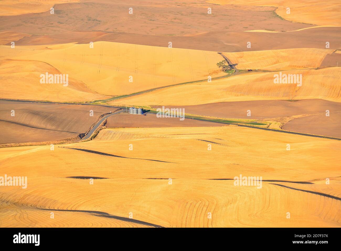 Palouse wheat fields hi-res stock photography and images - Alamy