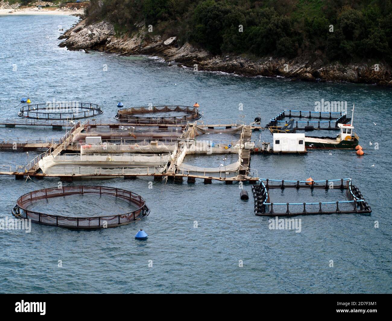 Fish Farm near Kassiopi, Corfu, Greece Stock Photo - Alamy