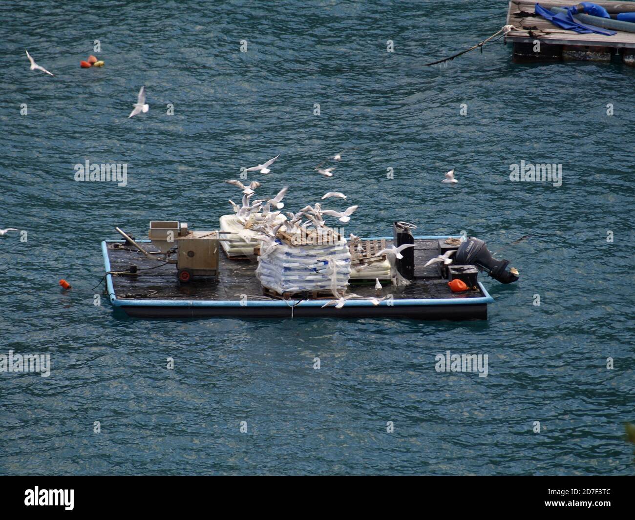 Fish Farm near Kassiopi, Corfu, Greece Stock Photo - Alamy