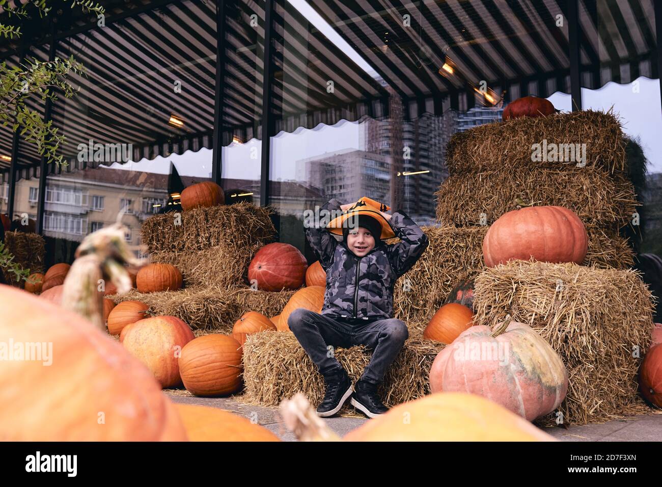 6 years boy in Halloween costume with pumpkins at farm market stands on ...
