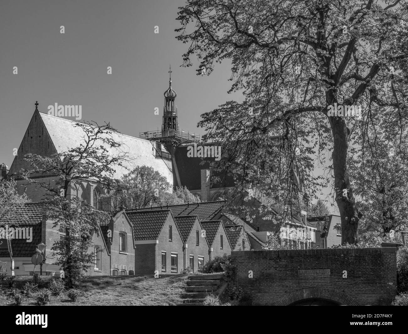 the dutch city of aklmaar Stock Photo - Alamy