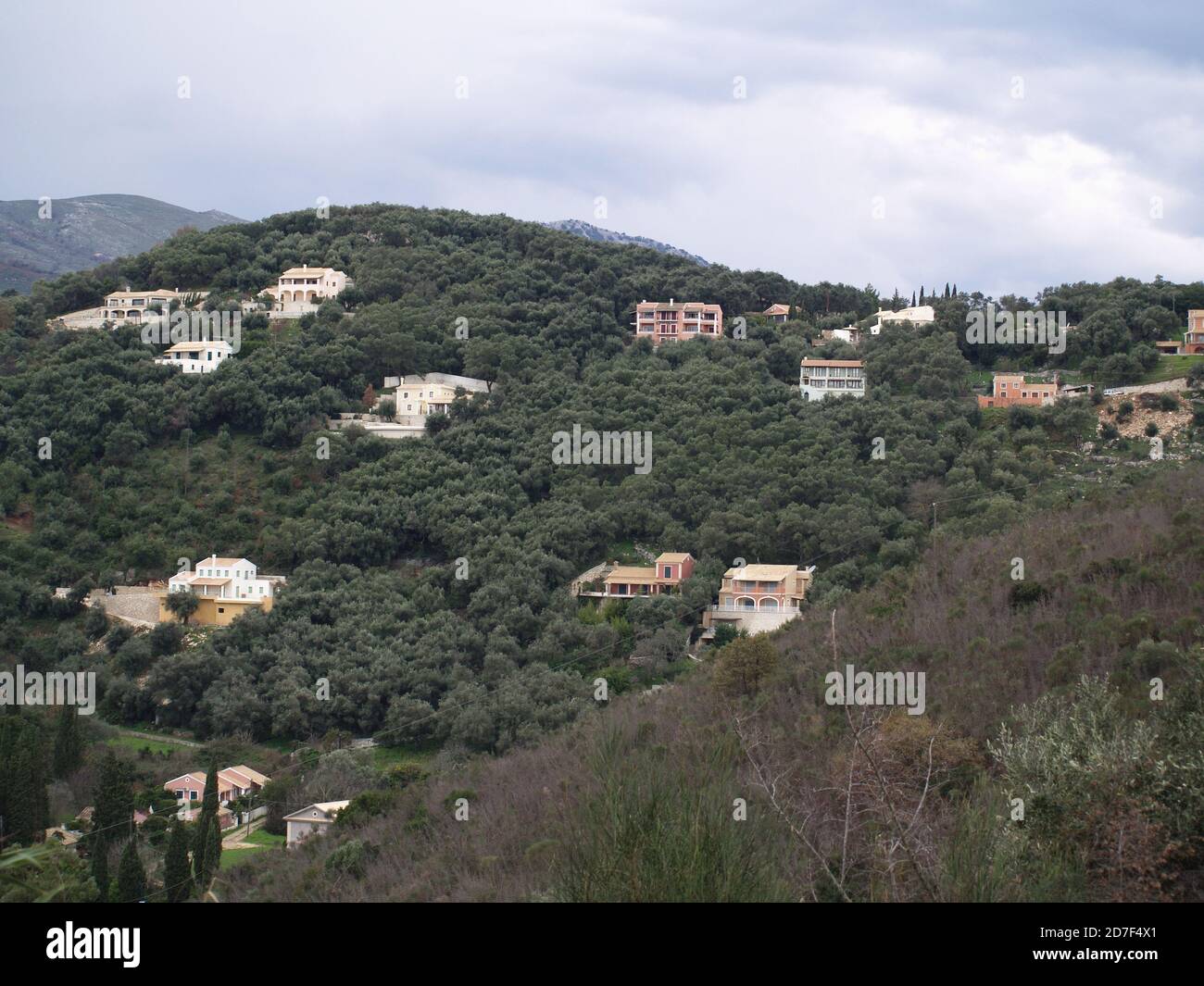 Olive groves in hills overlooking Agios Stefanos, Corfu, Greece Stock ...