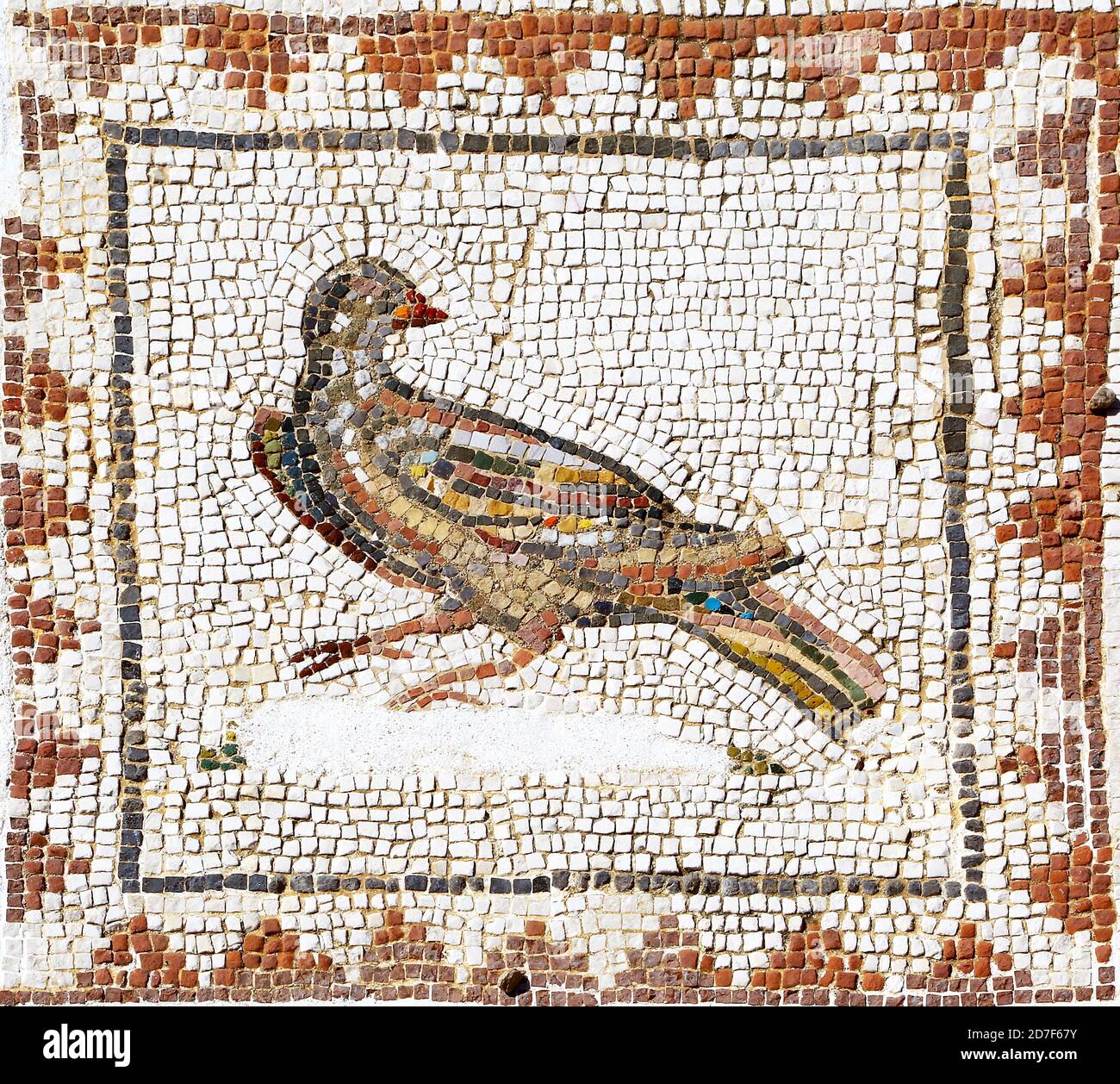 Roman bird mosaic hi-res stock photography and images - Alamy