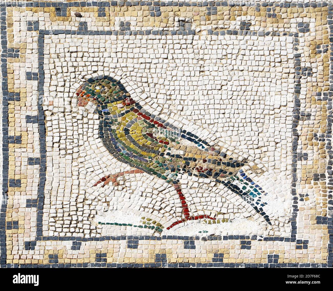 Ancient roman mosaic representing a parrot, Sevilla Stock Photo - Alamy