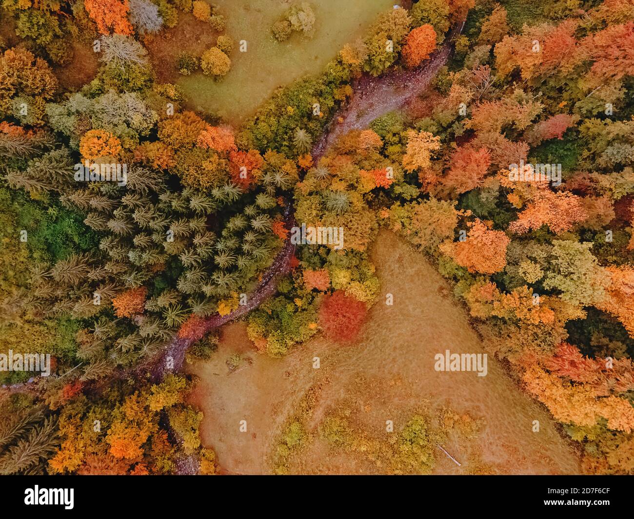 Beautiful nature drone view green hi-res stock photography and images ...
