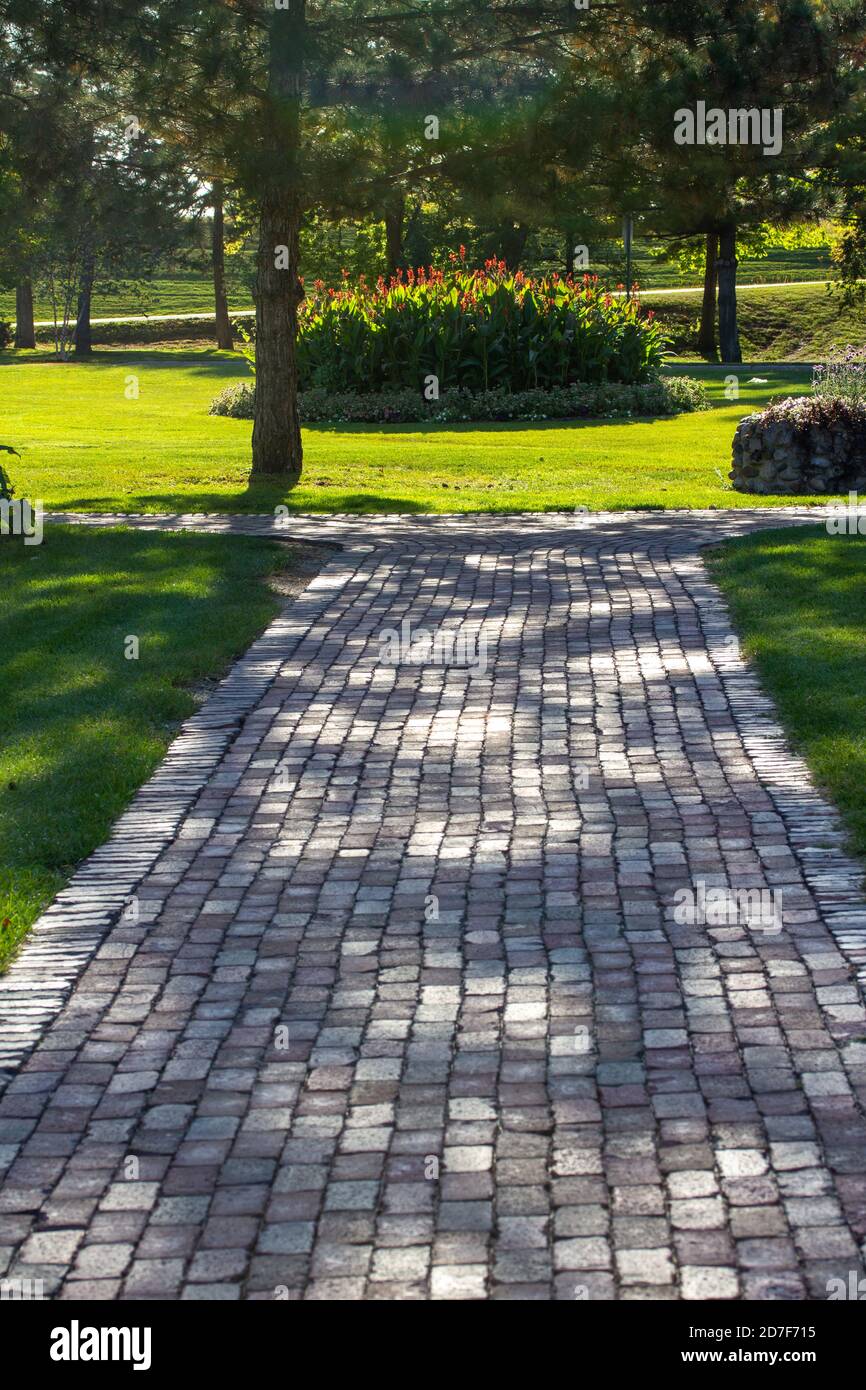 Landscape view of a gray brick paved pedestrian walkway with tree cast ...