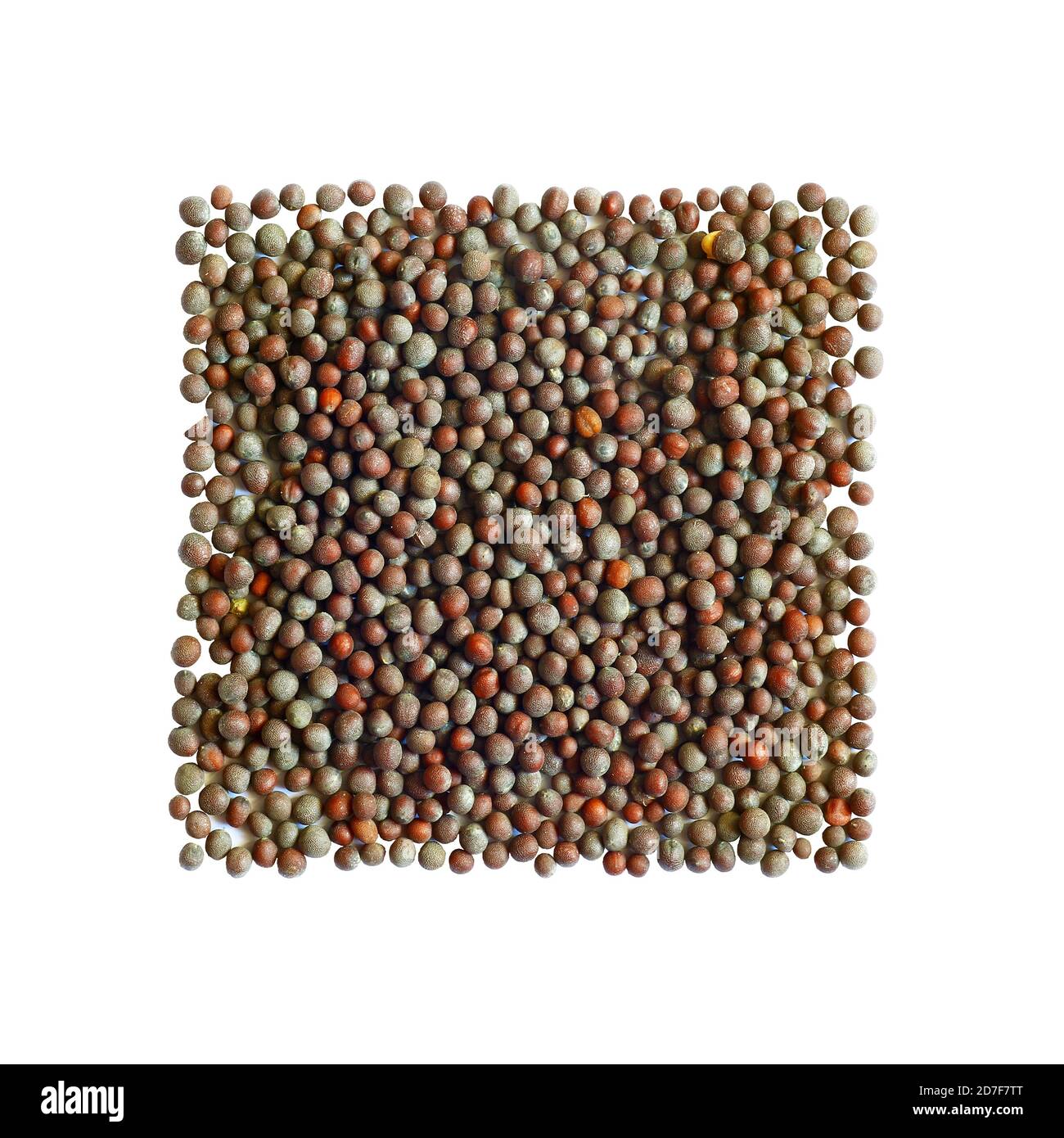 Black mustard seeds hi-res stock photography and images - Alamy