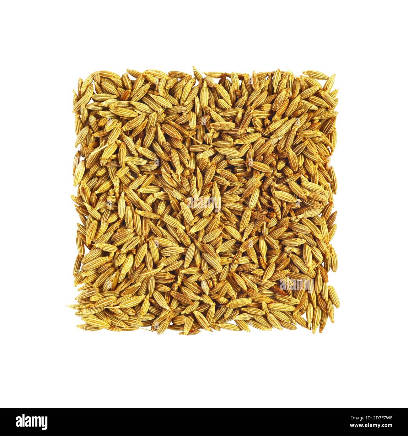 Cumin seeds in red hi-res stock photography and images - Alamy