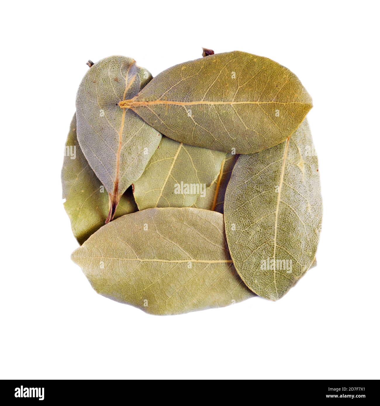 Spice laurel hi-res stock photography and images - Alamy