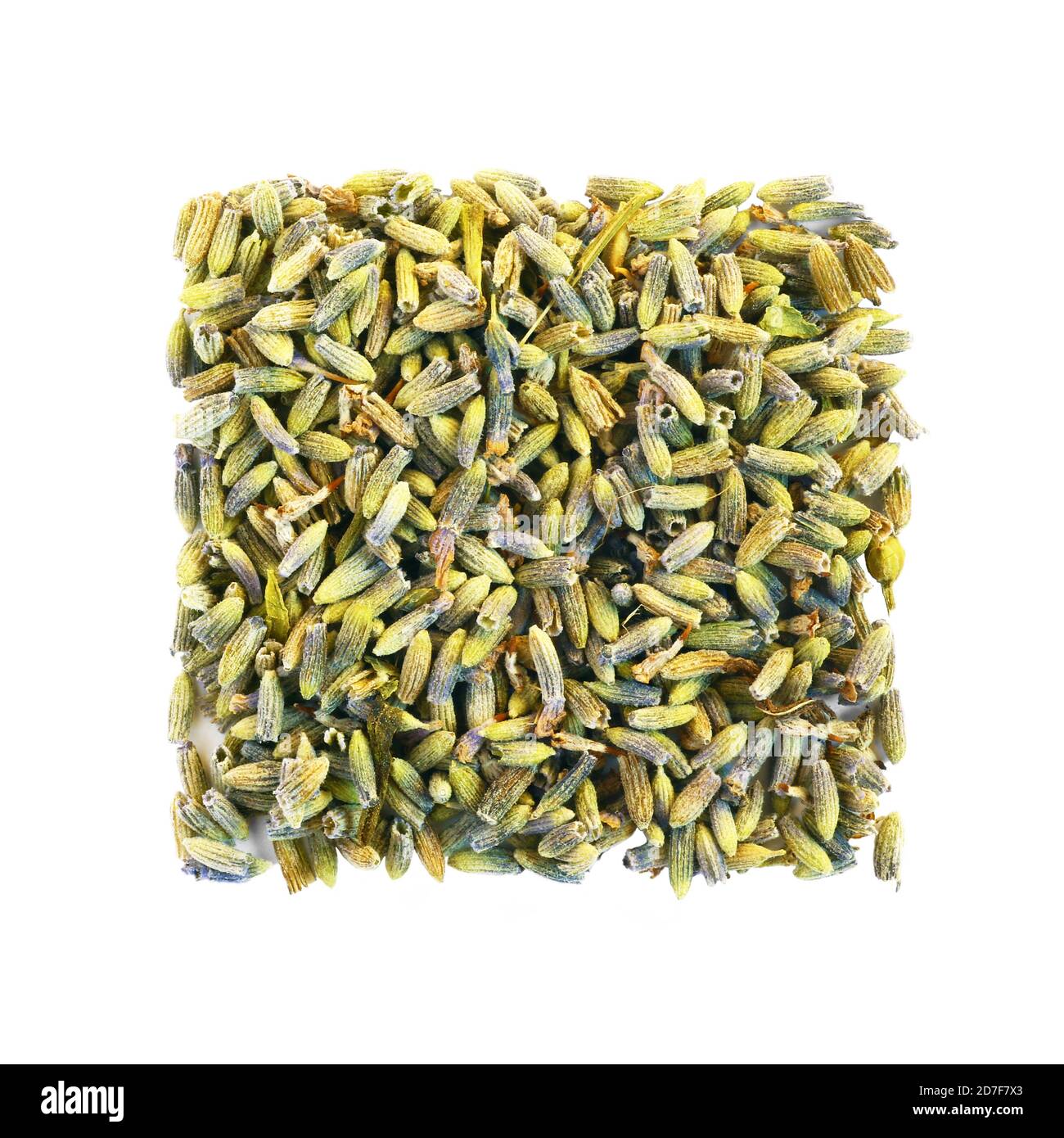 Lavender in square composition Stock Photo - Alamy