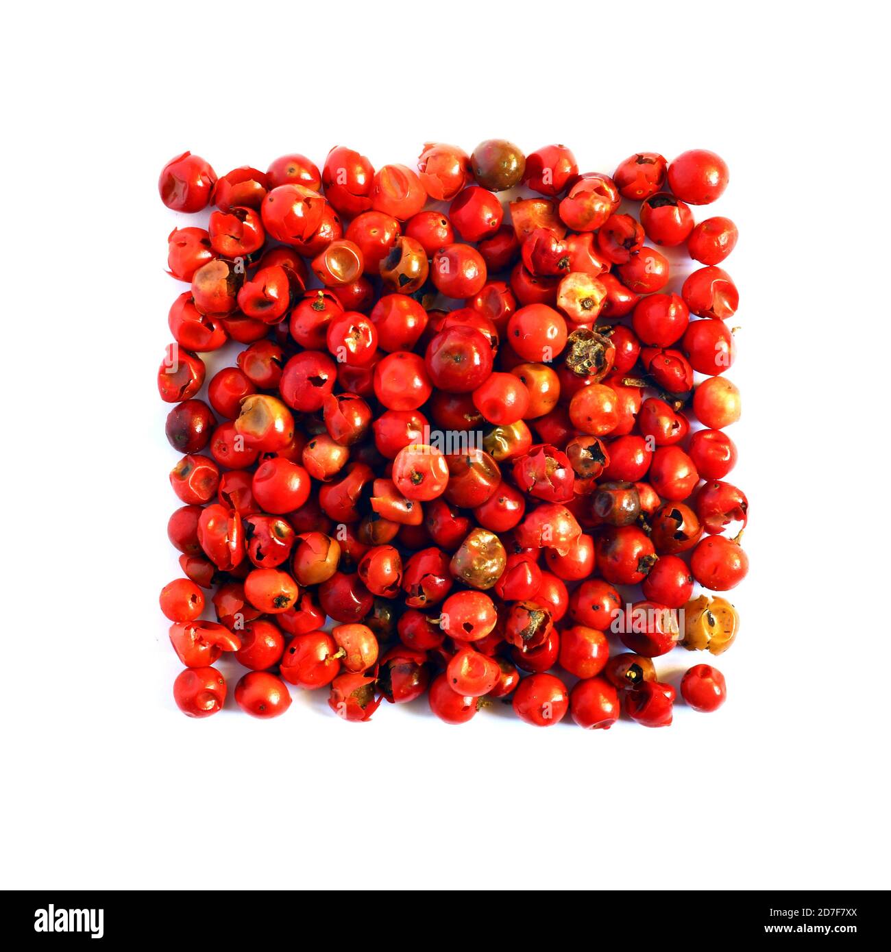 Peruvian pepper in square composition Stock Photo - Alamy