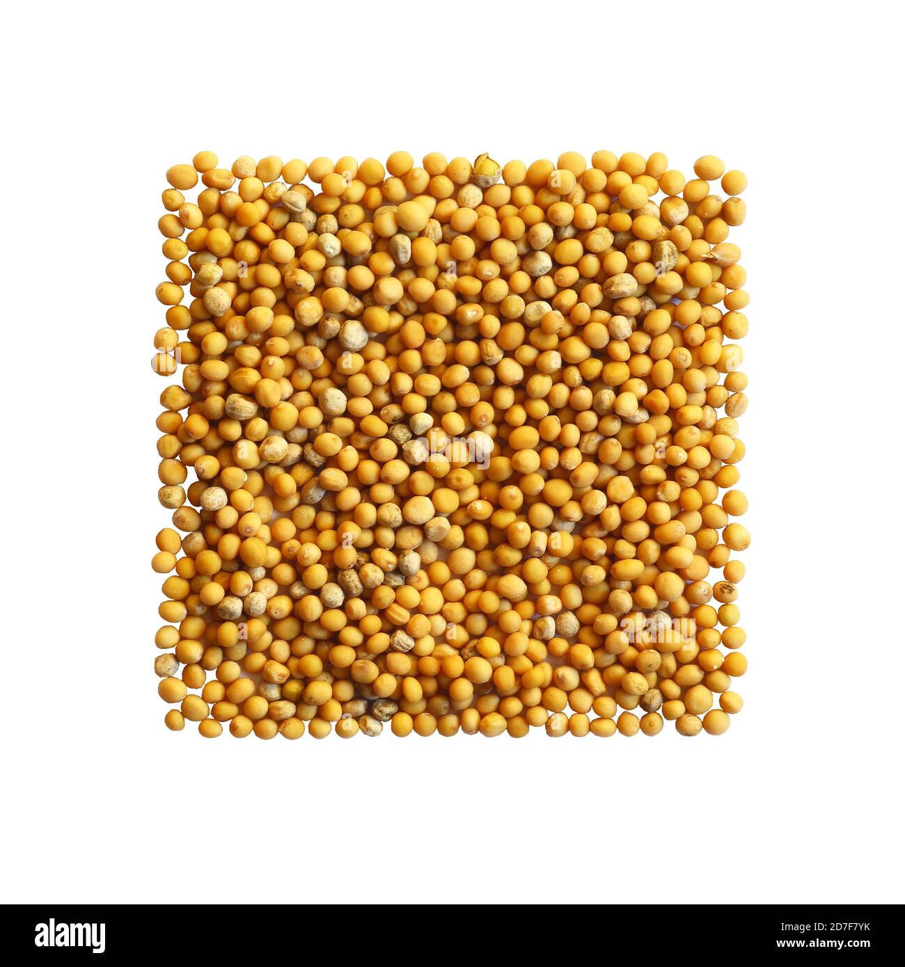 Mustard square hi-res stock photography and images - Alamy
