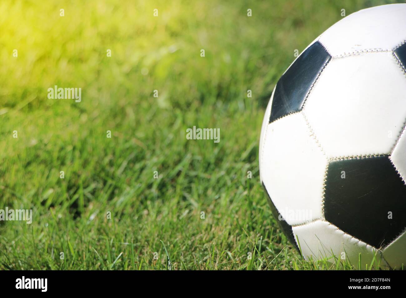 Typical soccer ball on the grass, outdoors on the stadium field Stock ...