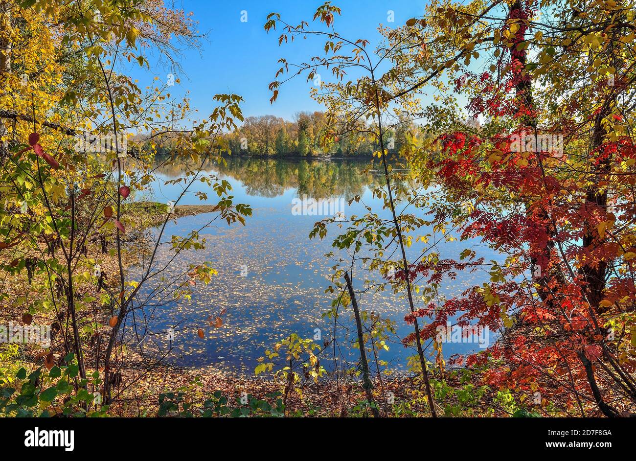 Golden autumn in russia hi-res stock photography and images - Alamy