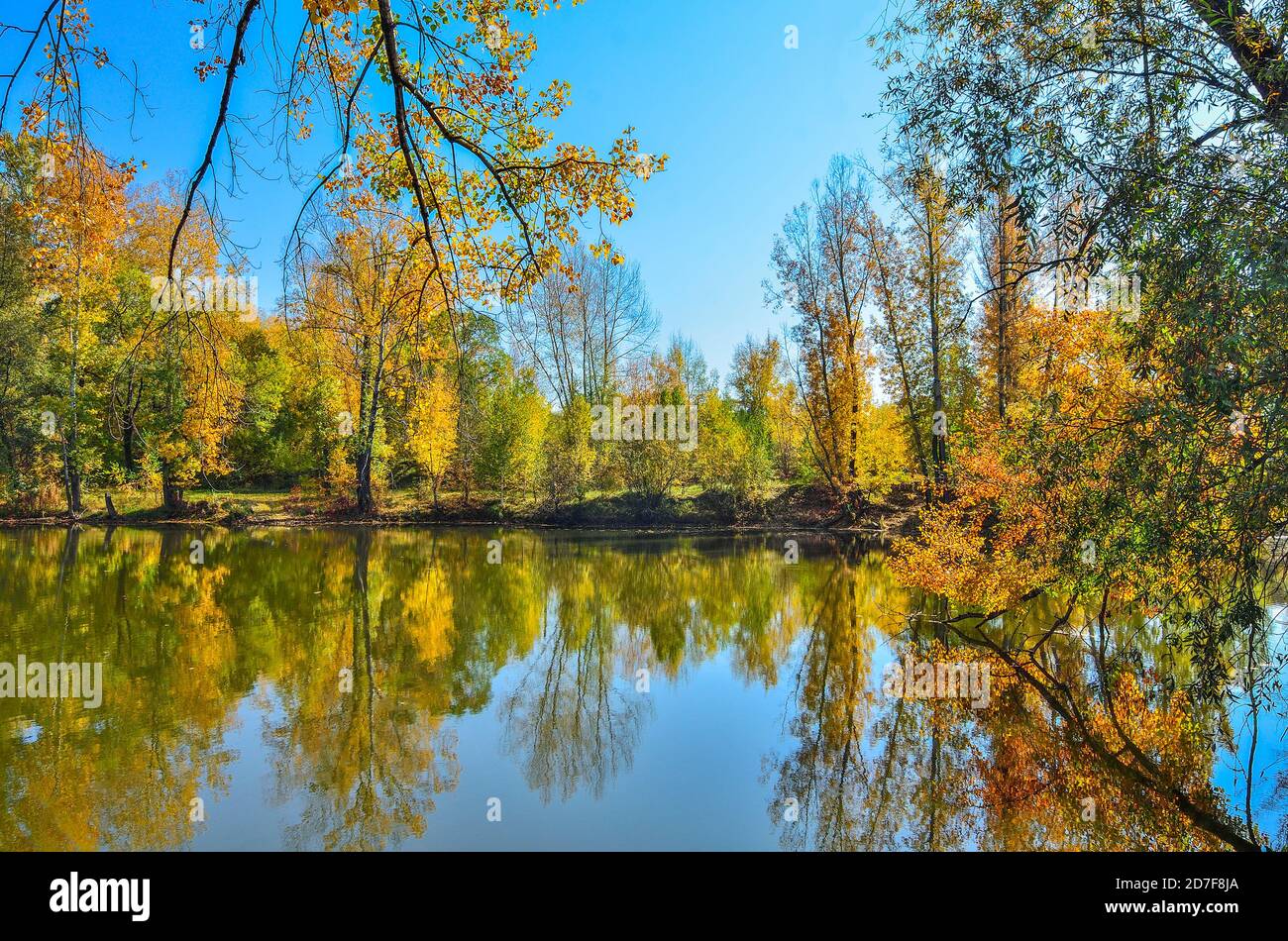Golden foliage of fall trees around the lake reflected in blue water ...