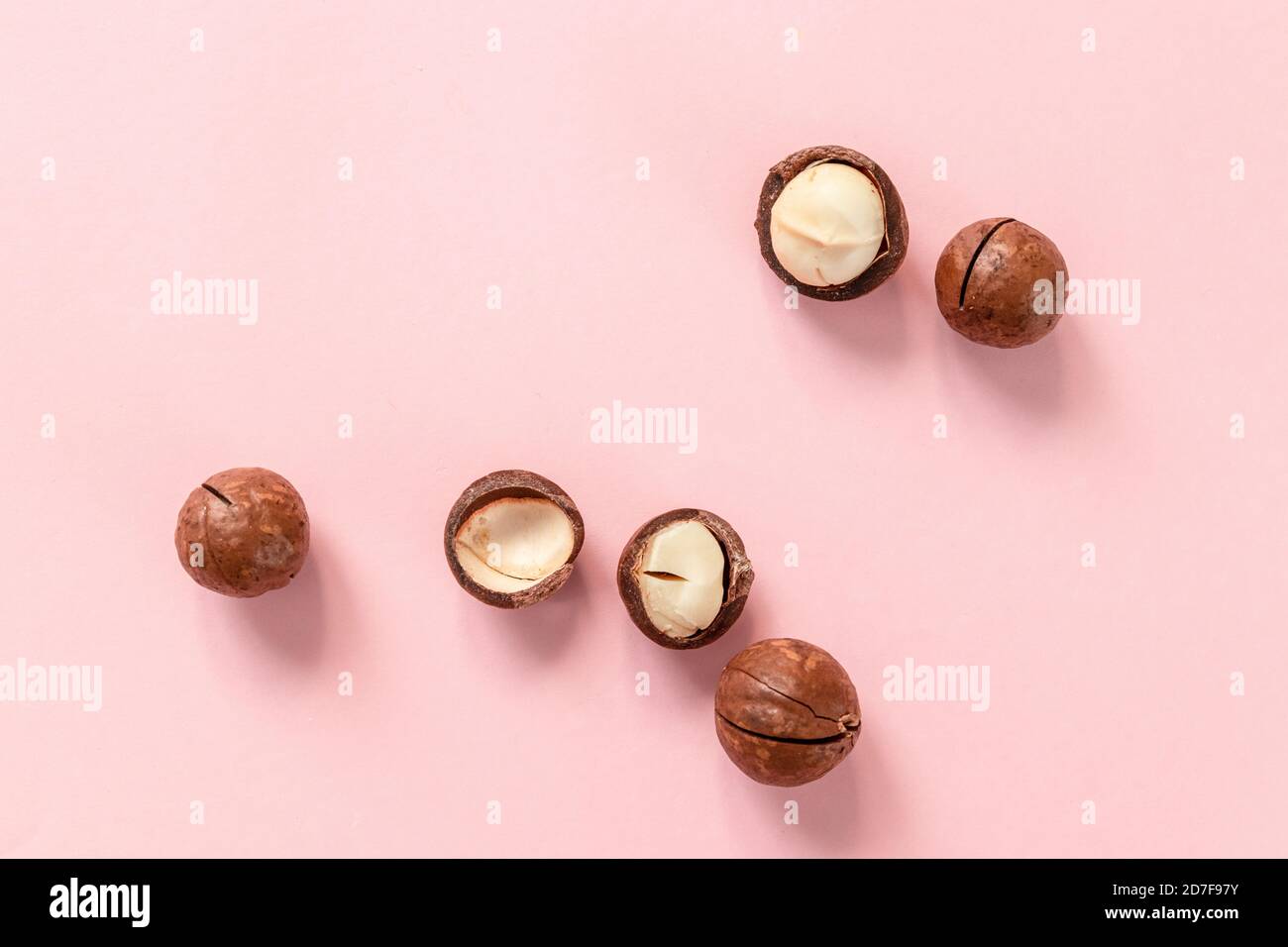 Raw cracked macadamia nut scattered on a pink solid background with ...