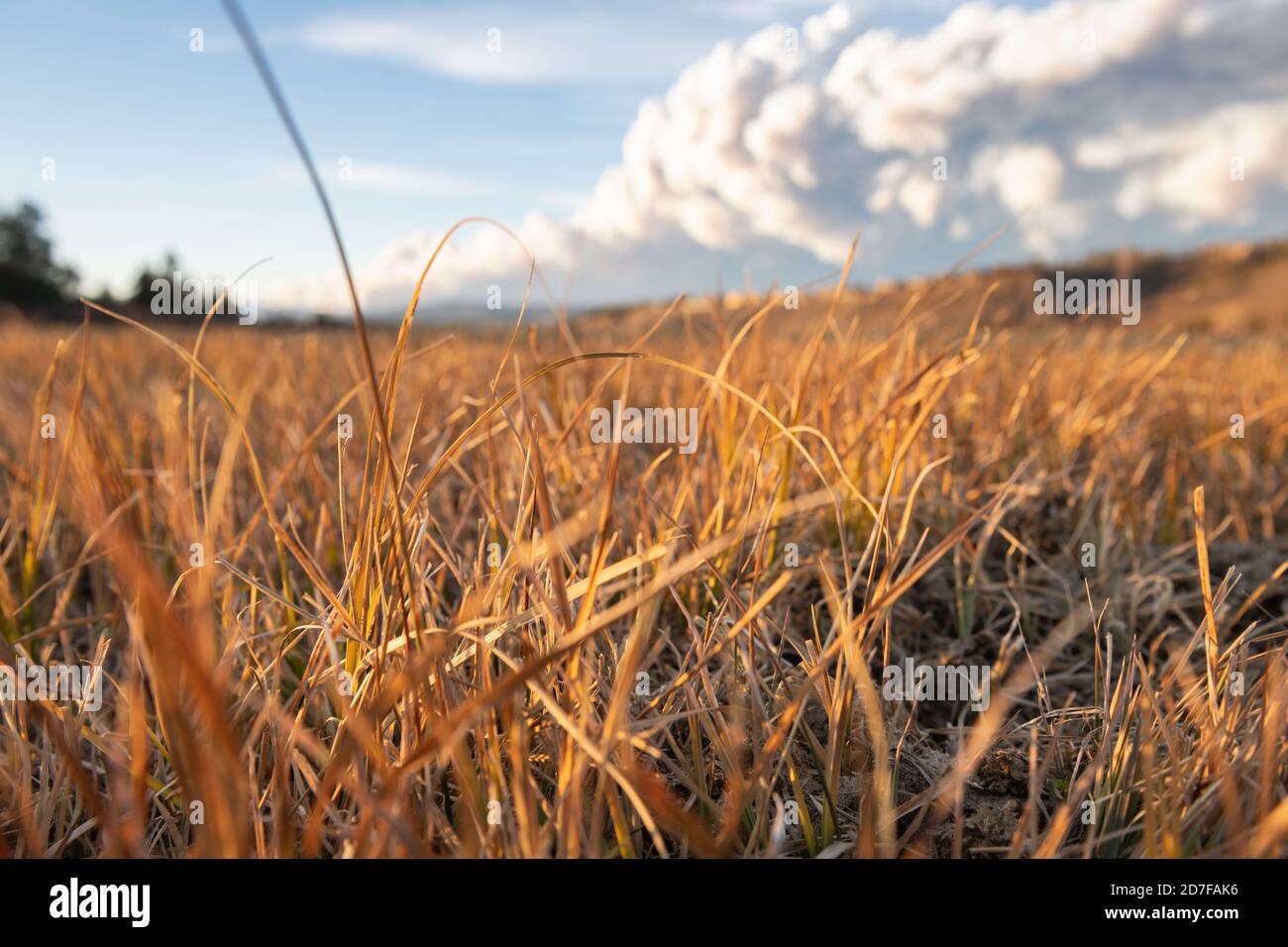 Fraser, Colorado, USA. 21st Oct, 2020. The East Troublesome fire ...