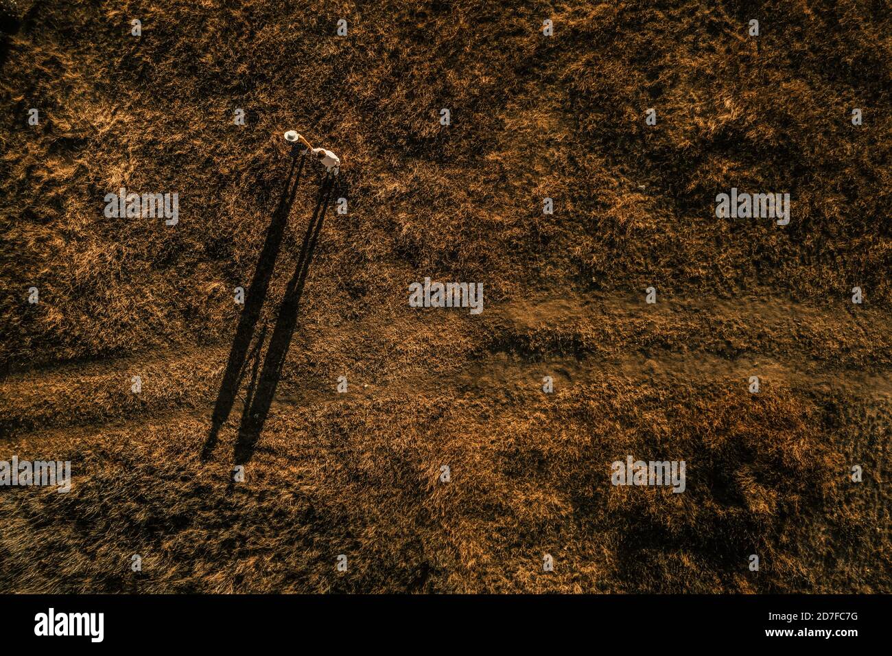Long shadow from man and woman top view Stock Photo - Alamy