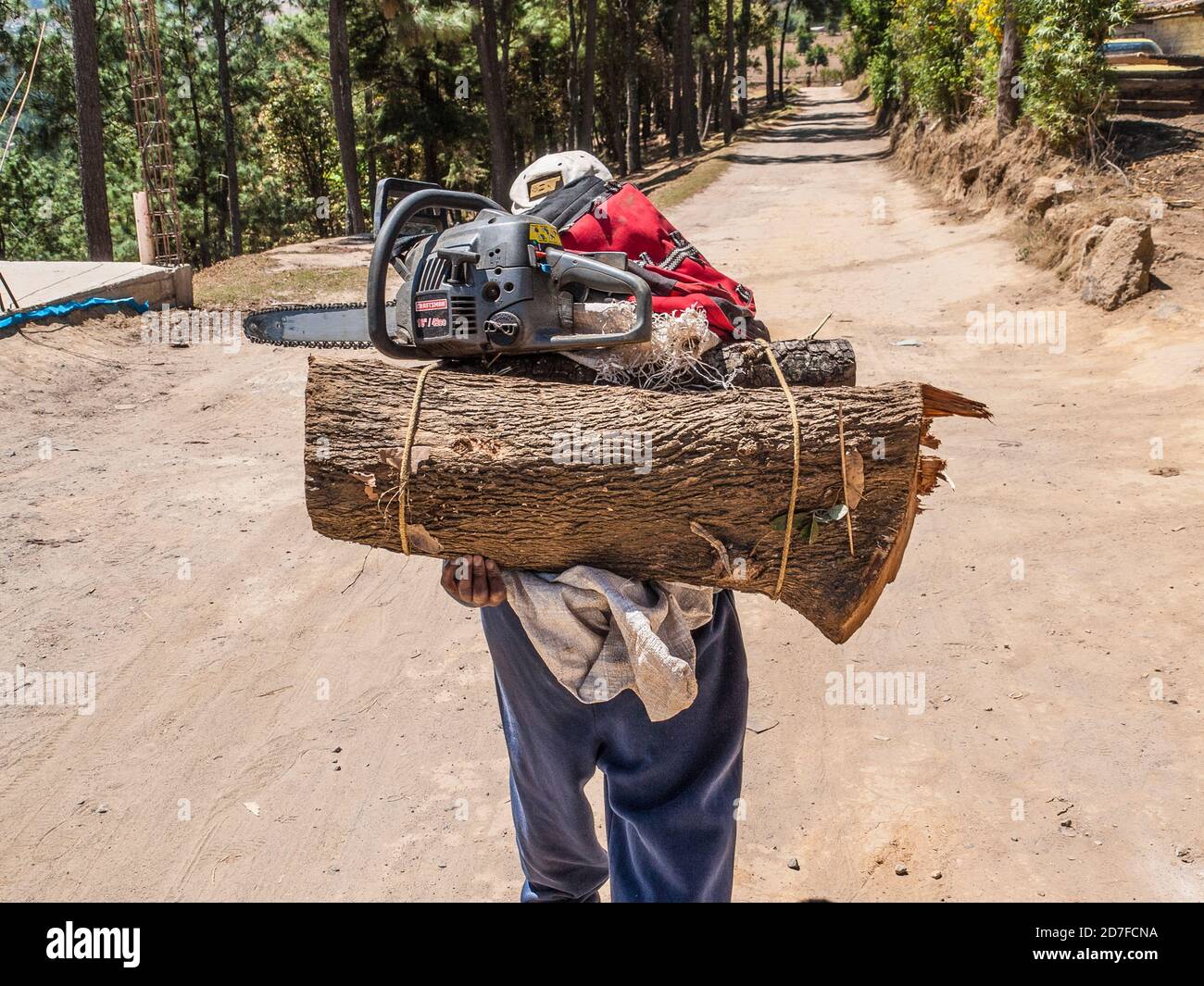 Worker with chain saw and logs on dirt road in Totonicopan Stock Photo ...