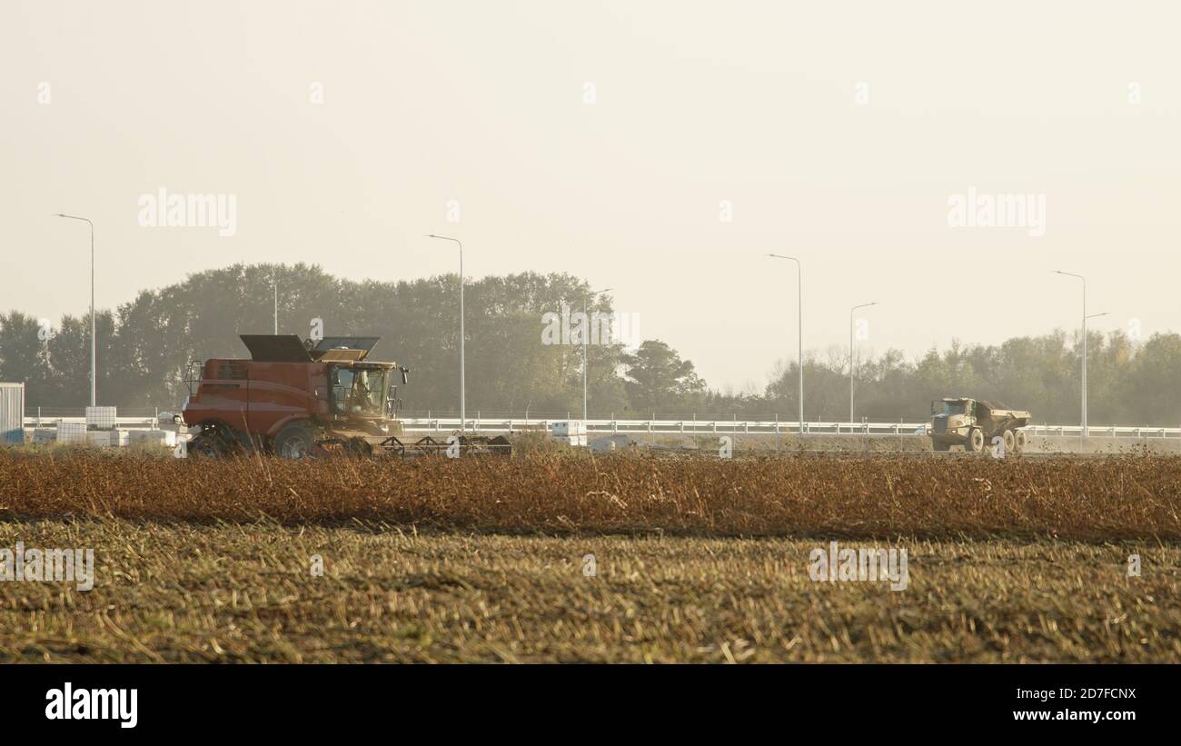 Combine Harvester Working And Harvesting Crops In The Agricultural ...