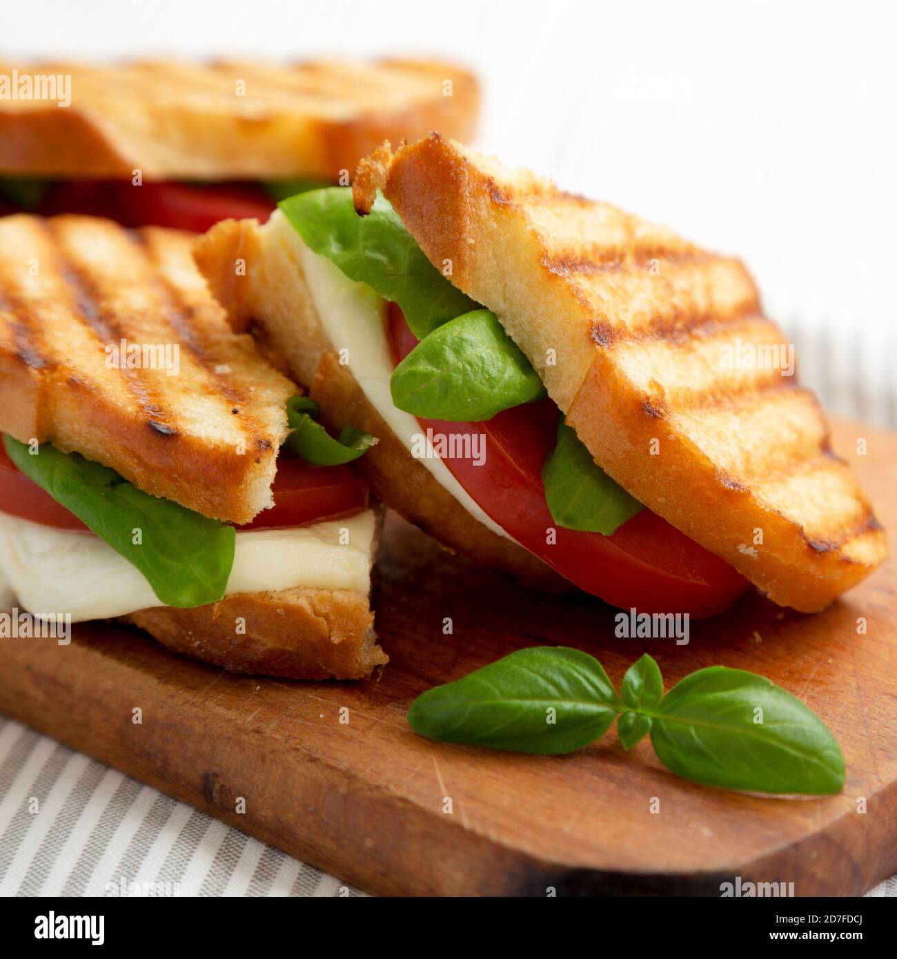 Tasty Grilled Caprese Panini (Mozzarella, Tomatoes and Basil) on a ...