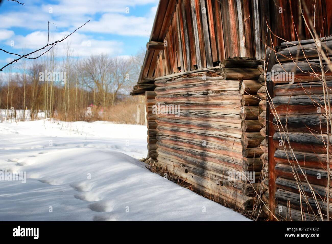 various objects of the spring season in the best of this wonderful ...