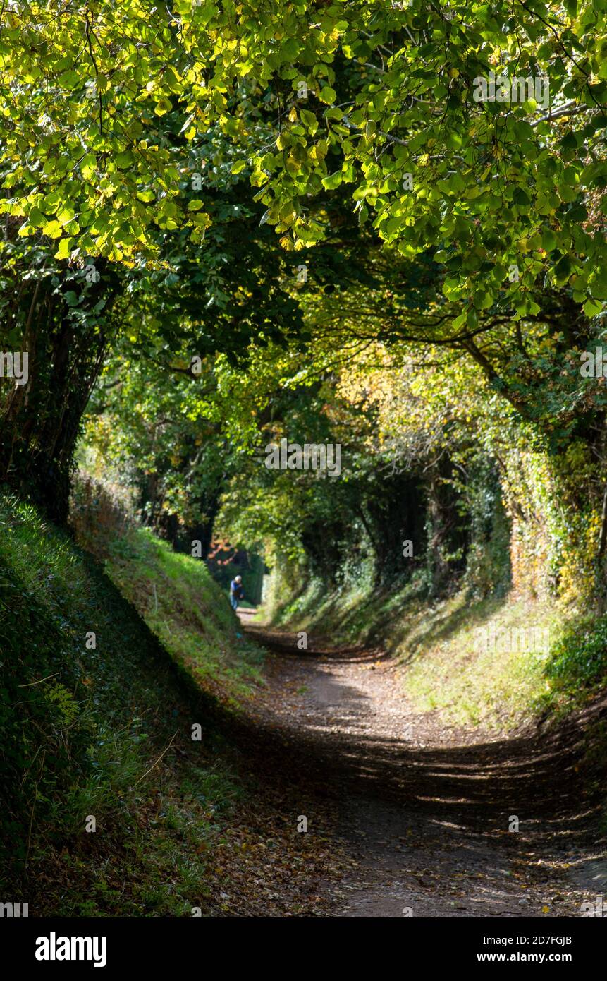 Halnaker windmill hi-res stock photography and images - Alamy Halnaker windmill hi-res stock photography and images - Alamy