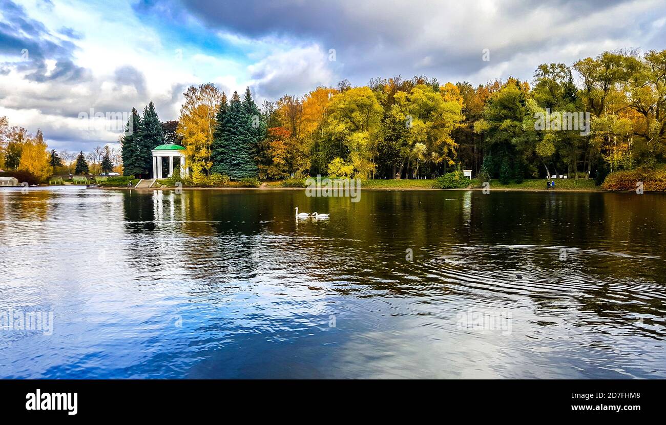 Autumn landscape. Park with lake Stock Photo - Alamy