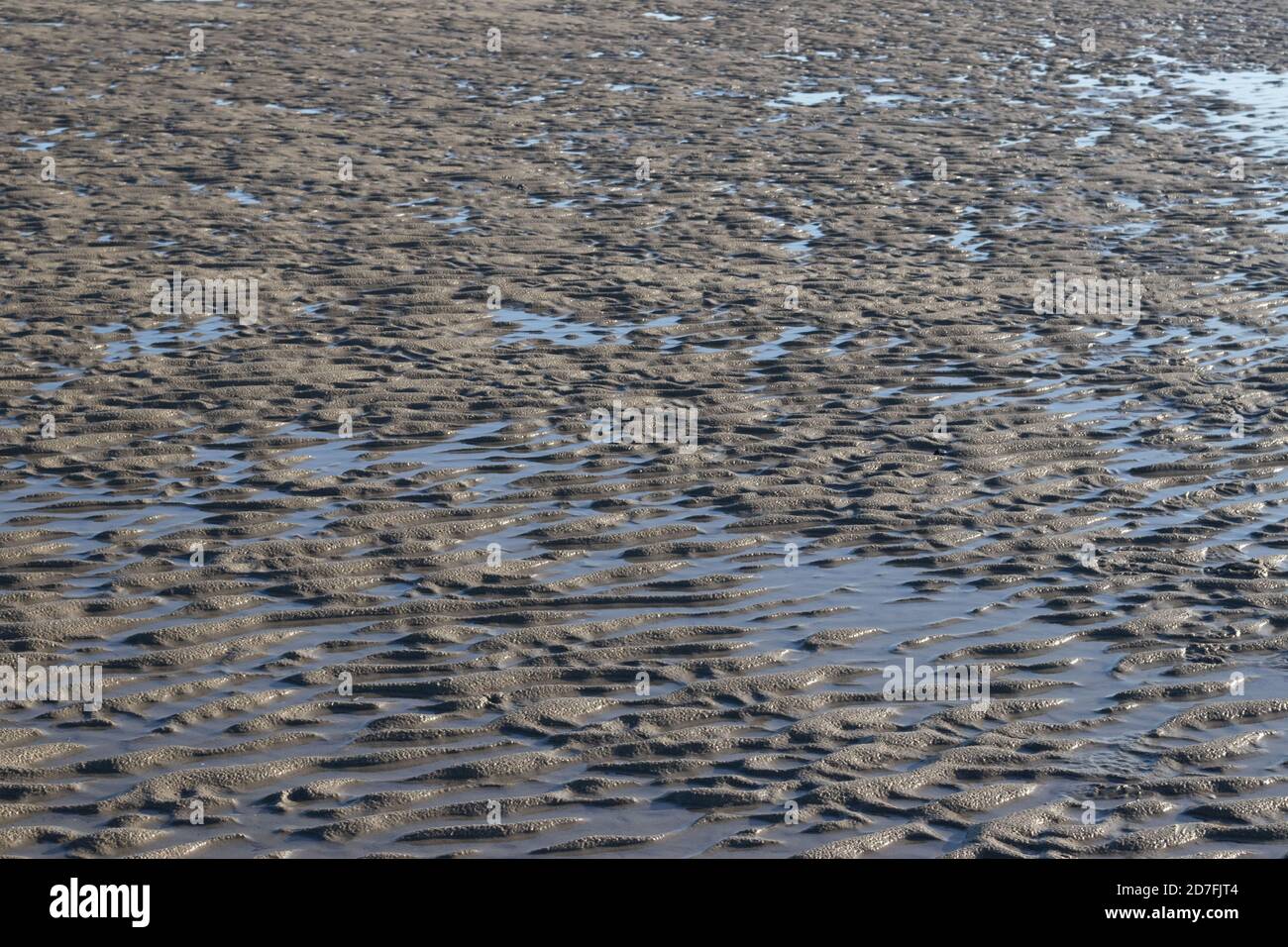 Textures and shapes made by water and wind on the sand, at the beach ...