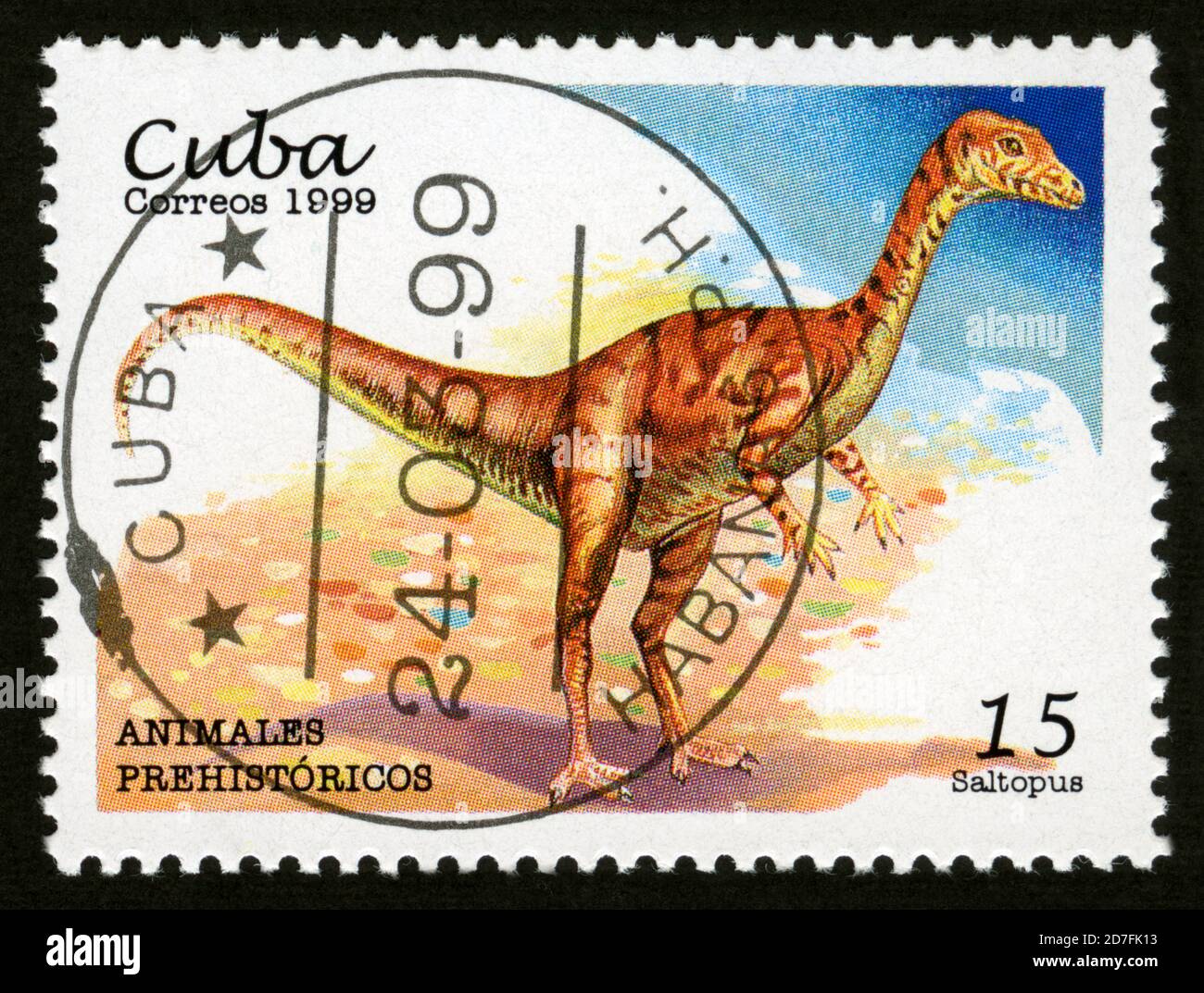 Saltopus image hi-res stock photography and images - Alamy