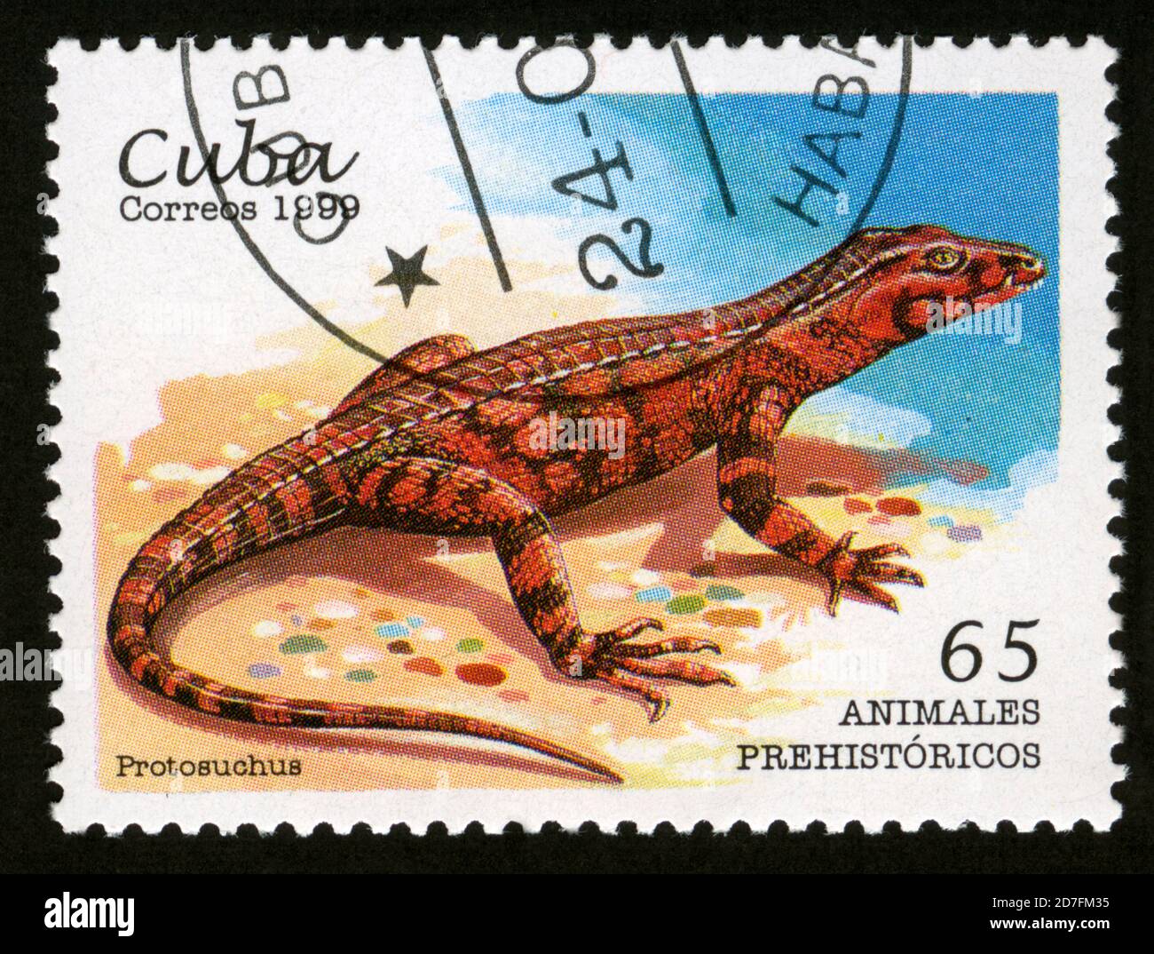 Protosuchus images hi-res stock photography and images - Alamy