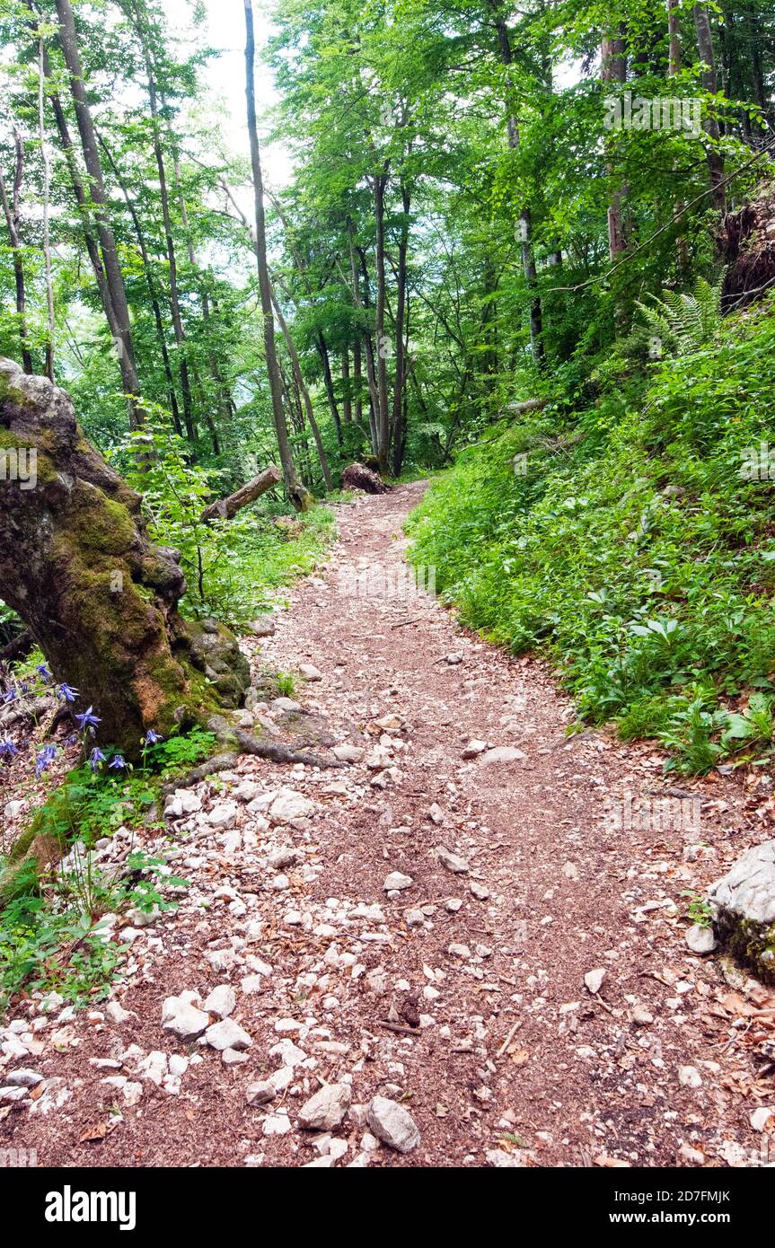 Triglav national park trail hi-res stock photography and images - Alamy