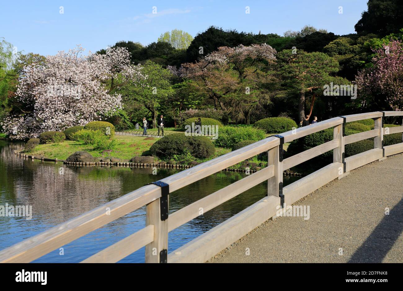 A Japanese traditional style bridge over pond in Shinjuku Gyoen garden ...