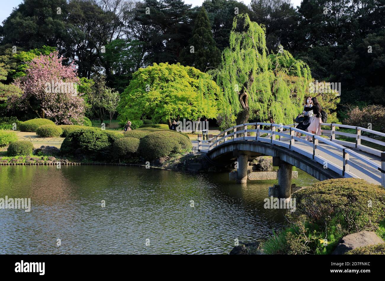 A Japanese traditional style bridge over pond in Shinjuku Gyoen garden ...