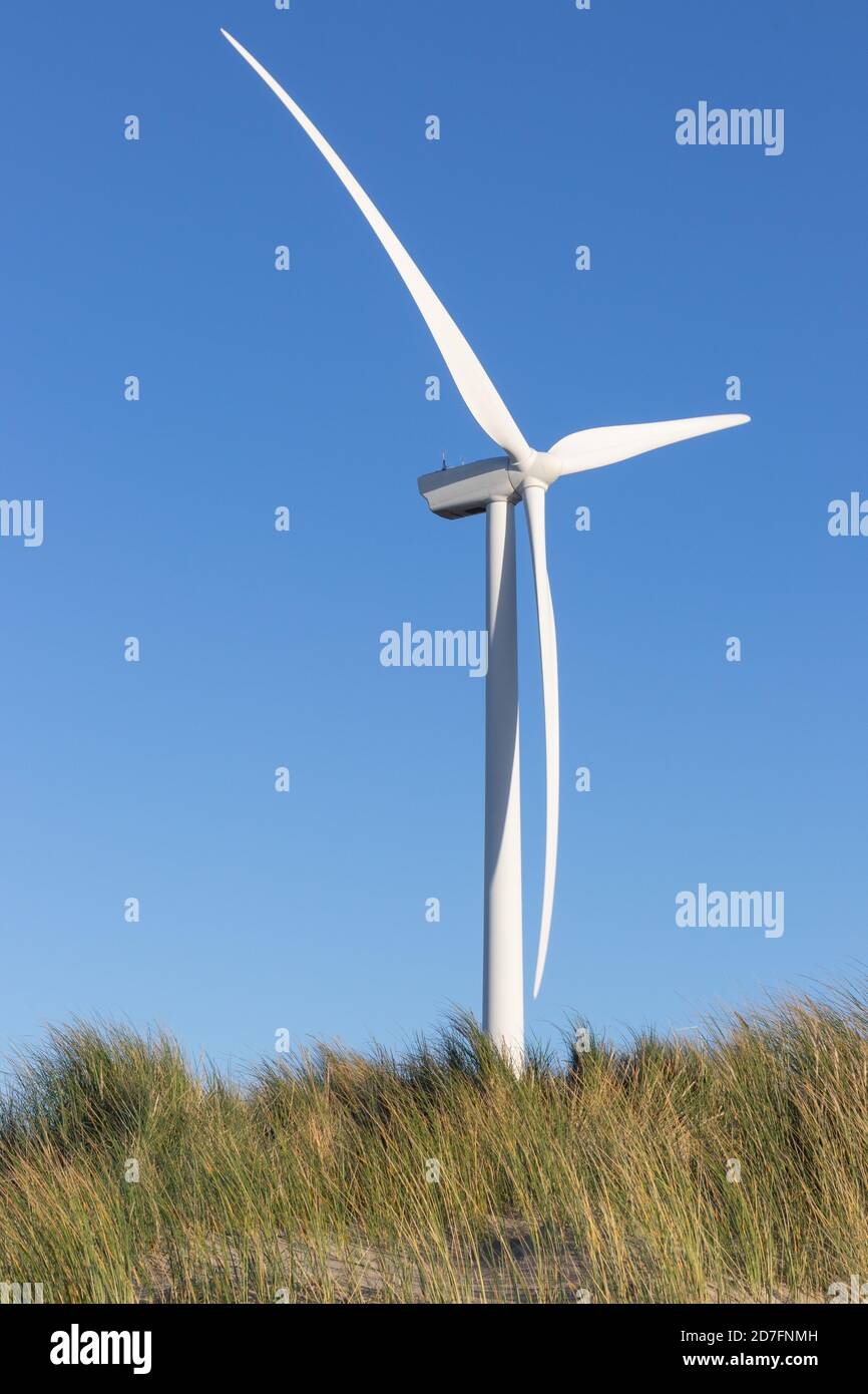 Windmill in the landscape, day with blue sky and no clouds, at the ...