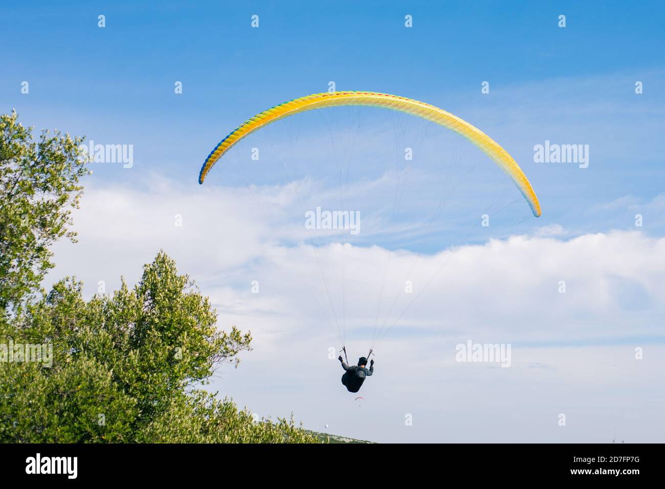Colourful paraglider flying near a tree on a blue sky background ...