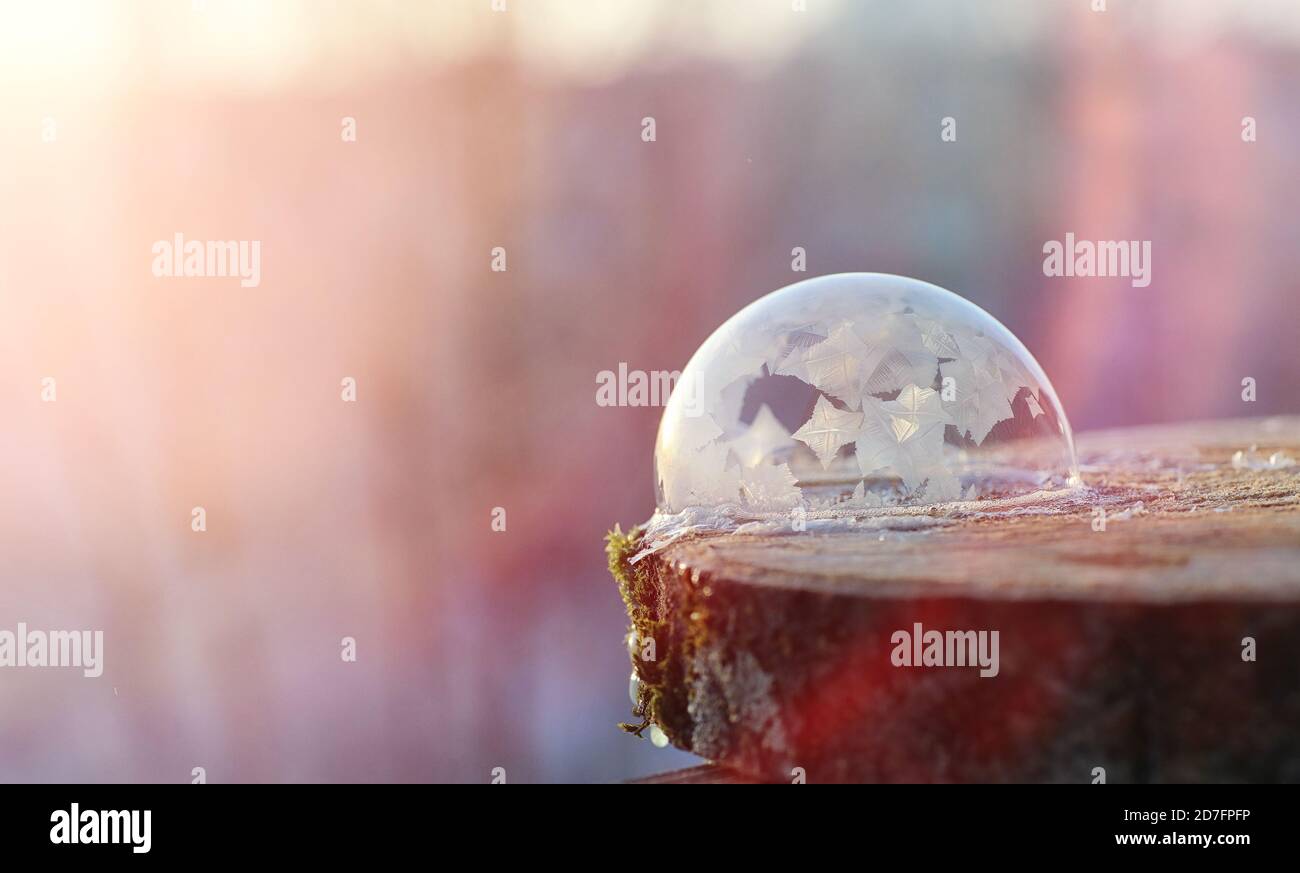 Soap bubbles freeze in the cold. Winter soapy water freezes in air ...