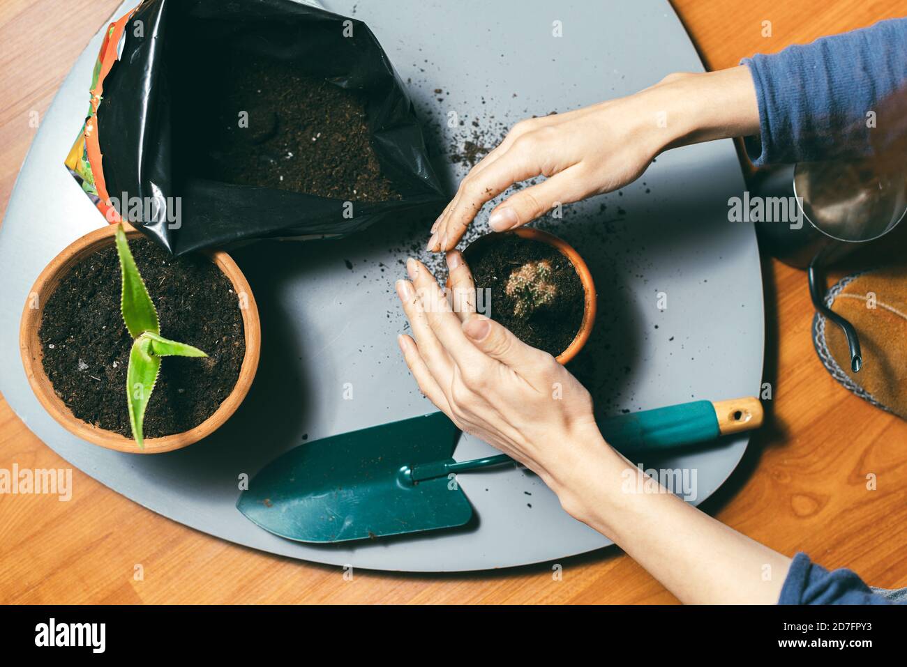 Photo of woman planting something in her little house garden Stock ...