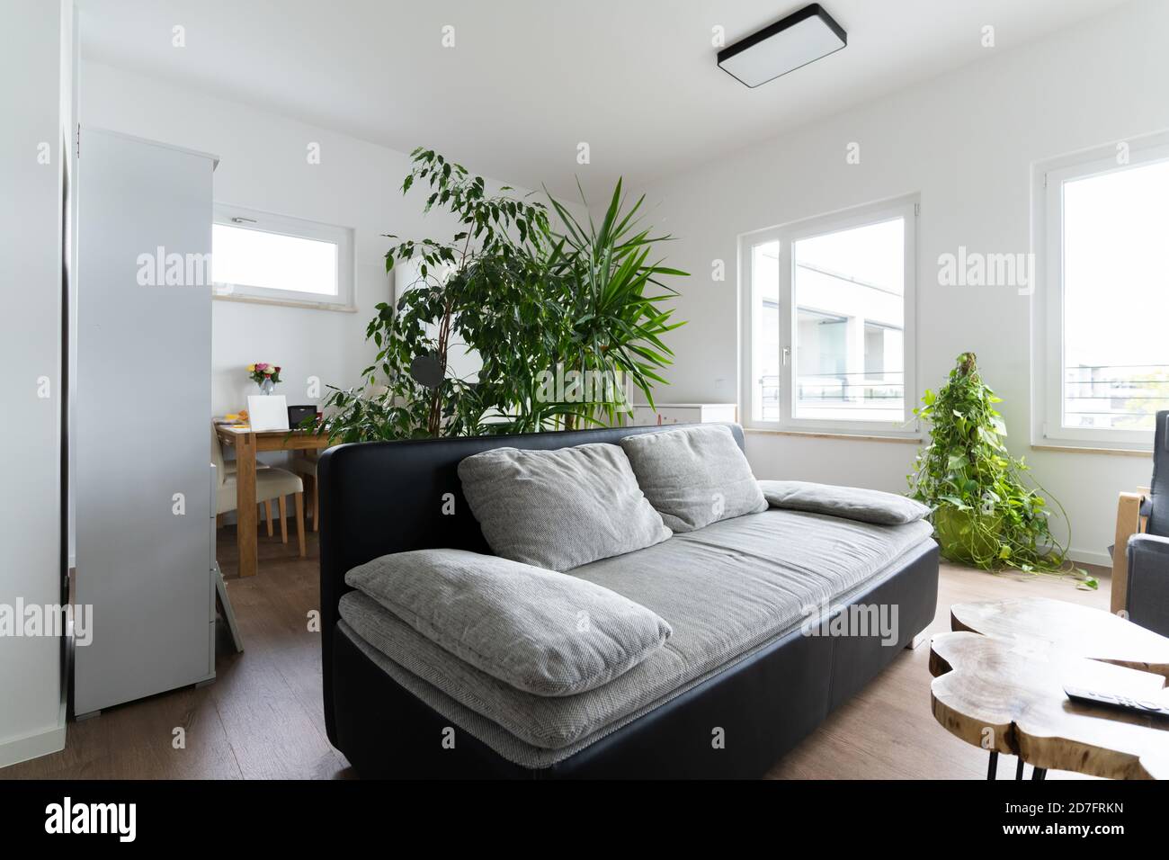Living Room Home Furniture. House Property Inside Stock Photo - Alamy